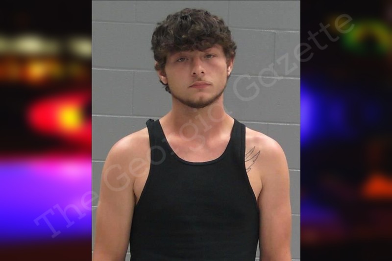 Timothy Davidson — Baldwin County Jail Bookings