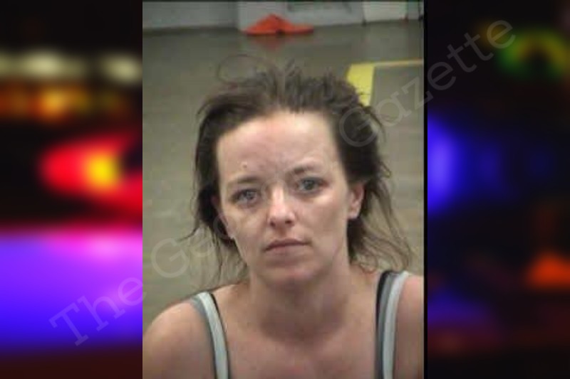 Ashley Denney — Heard County Jail Bookings