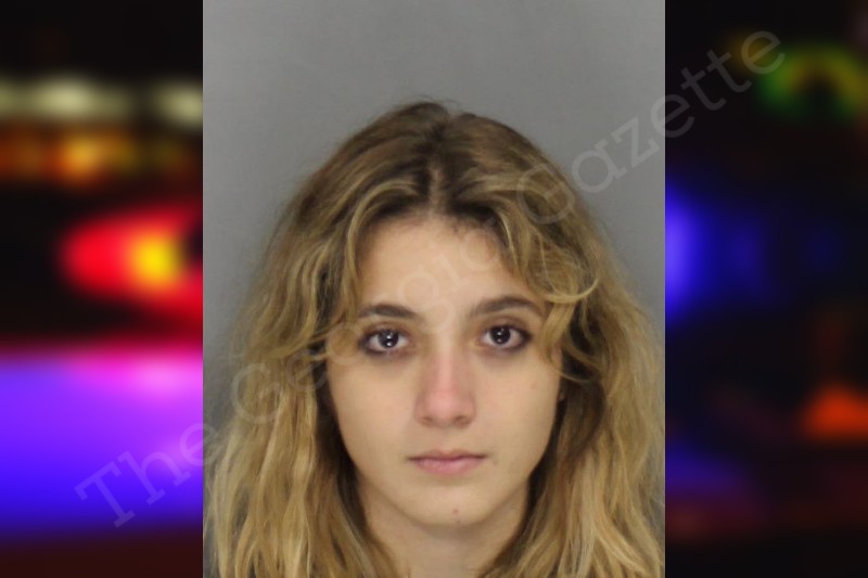 Lara Ekin — Cobb County