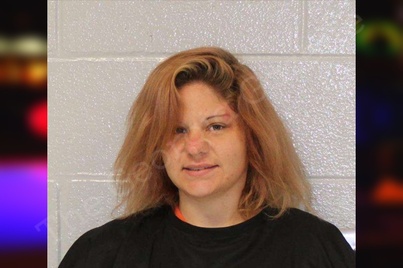 Madison Ellard — Carroll County Jail Bookings