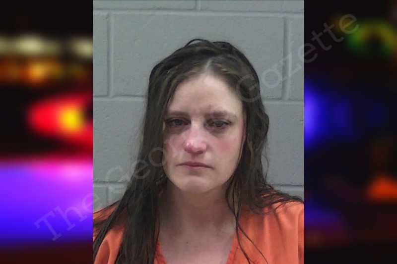 Ashley Fitzpatrick — Madison County Jail Bookings