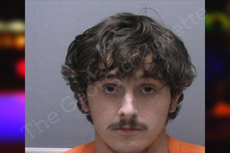 Dylan Fowler — Habersham County Jail Bookings