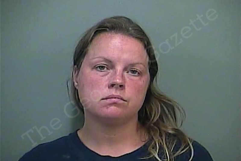 Jessica Fain — White County Jail Bookings