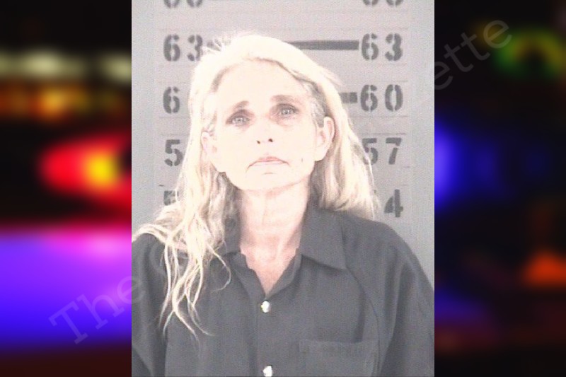 Tina Foley — Dougherty County Jail Bookings