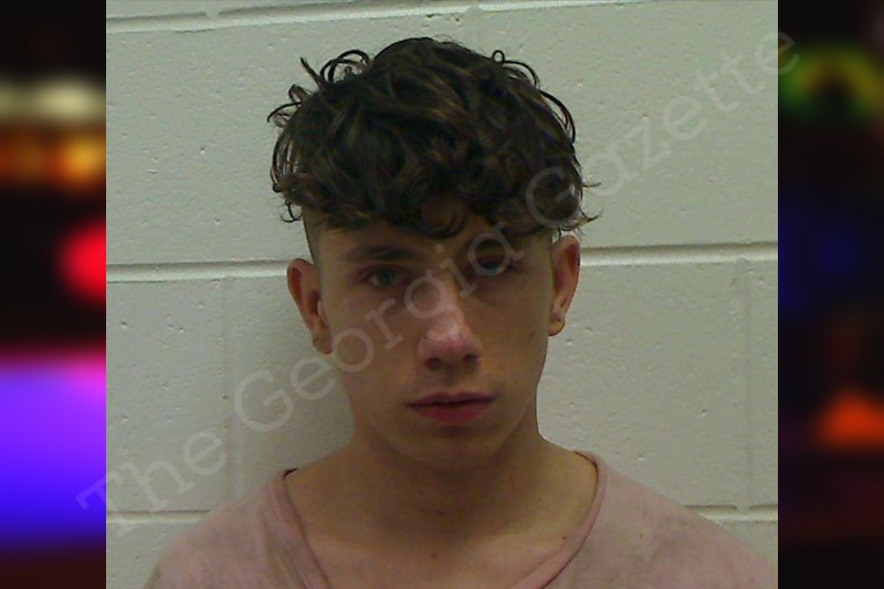 Ethan Gardner — Bulloch County Jail Bookings