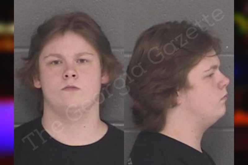 Christian Gazaway — Barrow County Jail Bookings