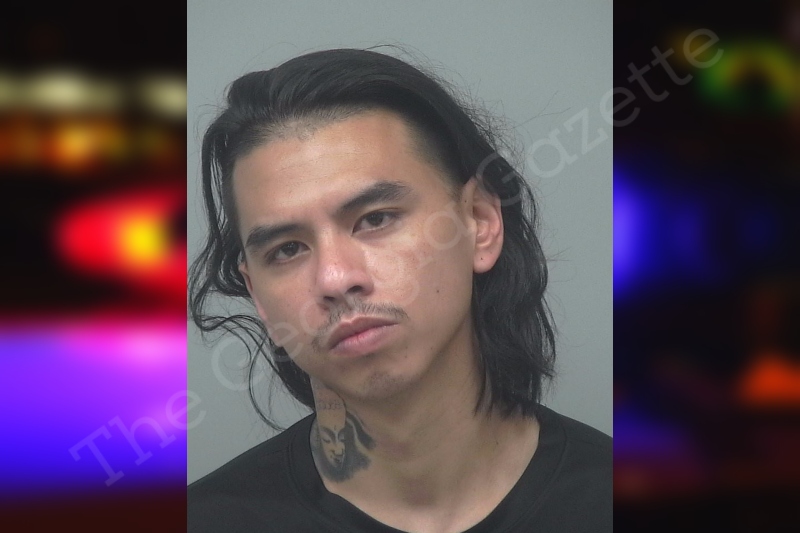 Jimmy Ha — Gwinnett County Jail Bookings