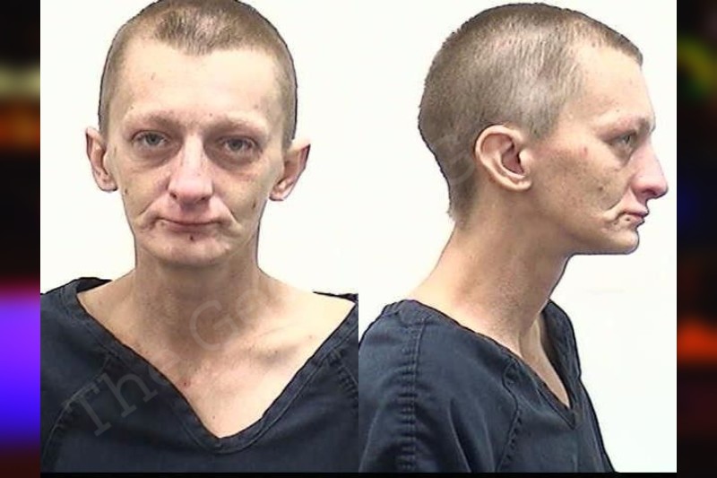 Stephanie Haley — Clarke County Jail Bookings