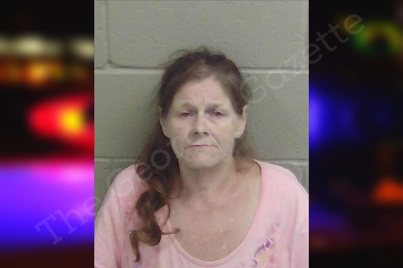 Sandy Harrison — Wayne County Jail Bookings