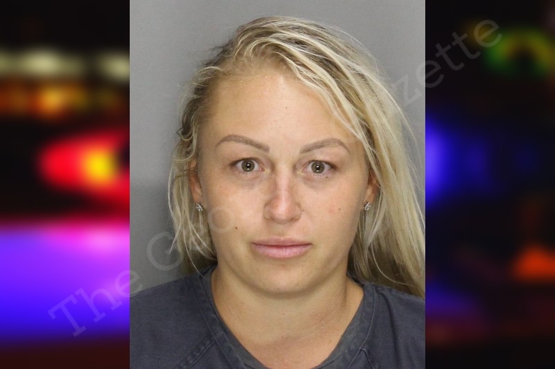 Rachel Hettick — Cobb County Jail Bookings