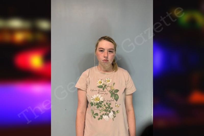 Brandi Holbrook — Hall County Jail Bookings