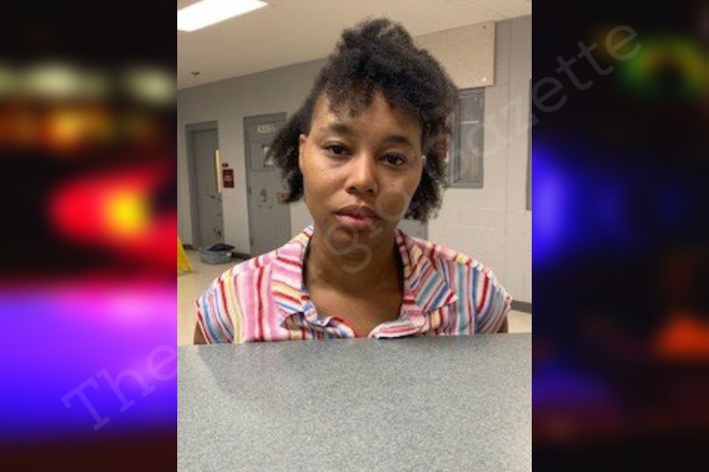 Christalyn Hunter — Hall County Jail Bookings