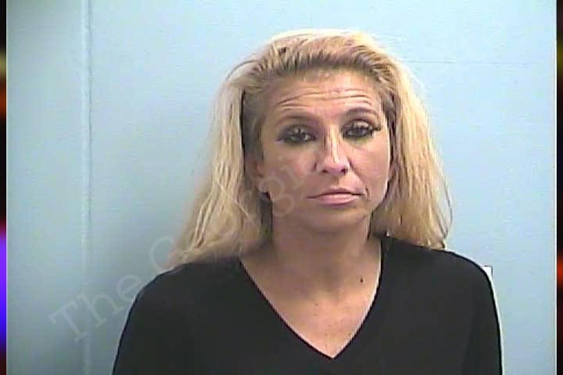 Jessica Hamilton — Dawson County Jail Bookings
