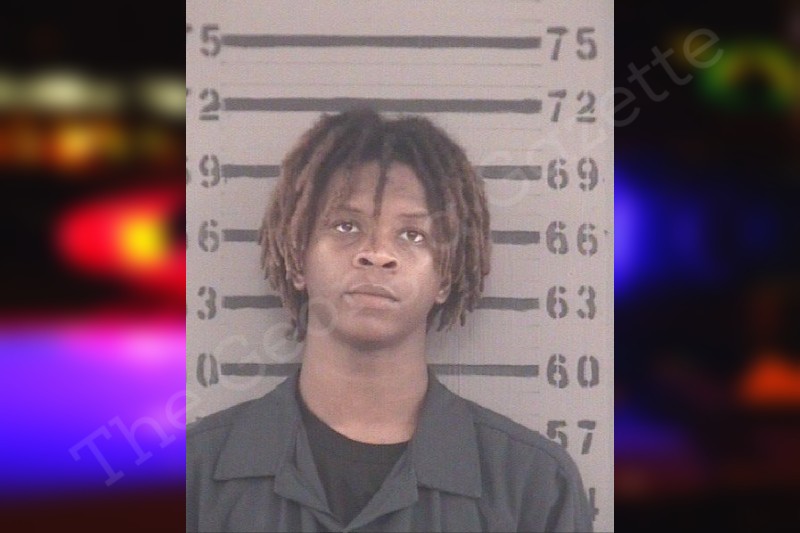 Cameron Hopkins — Dougherty County Jail Bookings