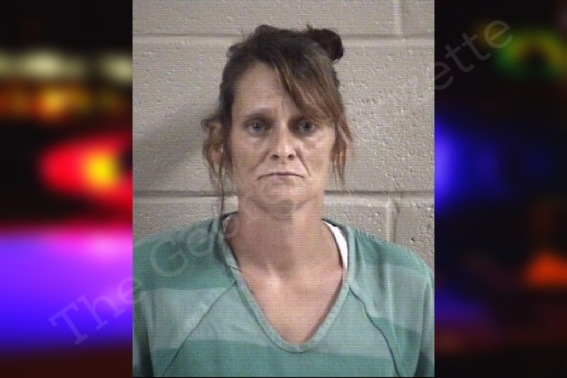 Jessica Potts — Whitfield County Jail Bookings
