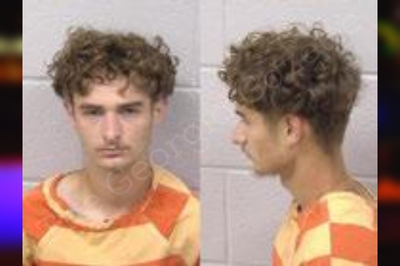 Declan Johnson | Paulding County