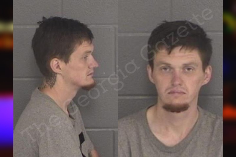 Timothy Johnson — Barrow County Jail Bookings