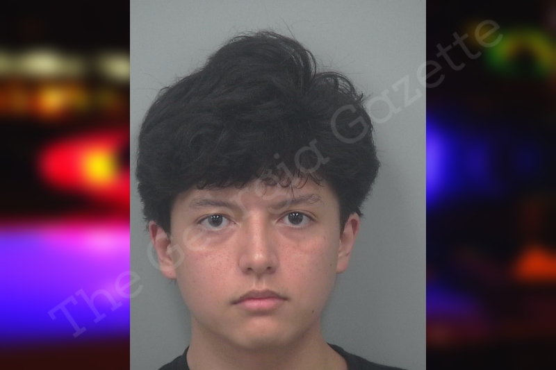 Alexander Krajewski - Gwinnett County