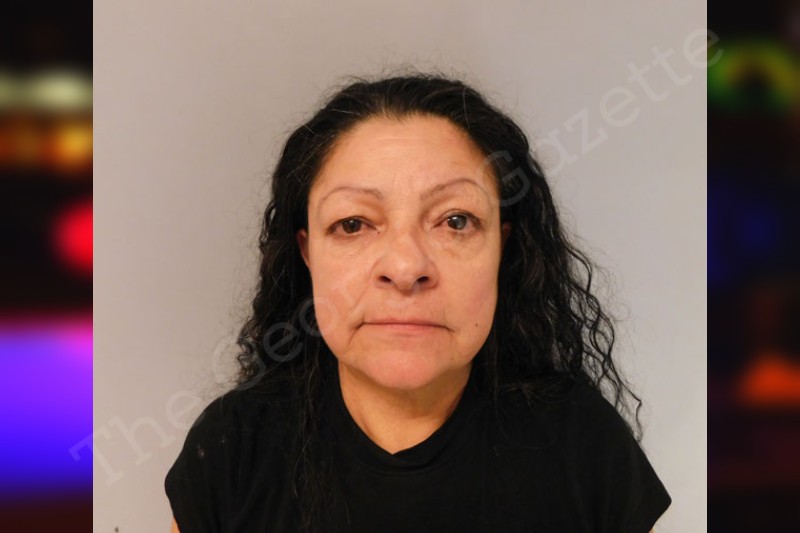 Ana Landeros-Gamboa — Hall County Jail Bookings