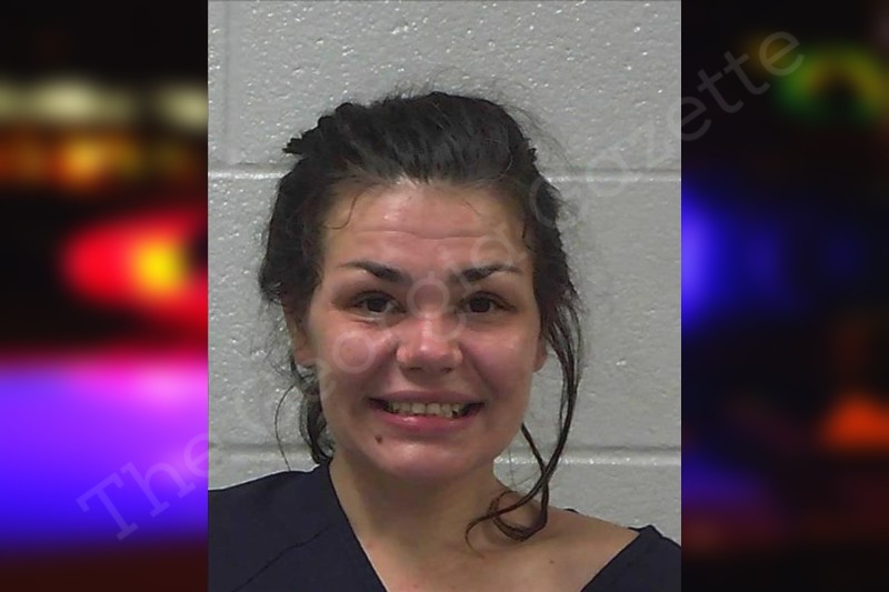 Rea Lee — Gilmer County Jail Bookings