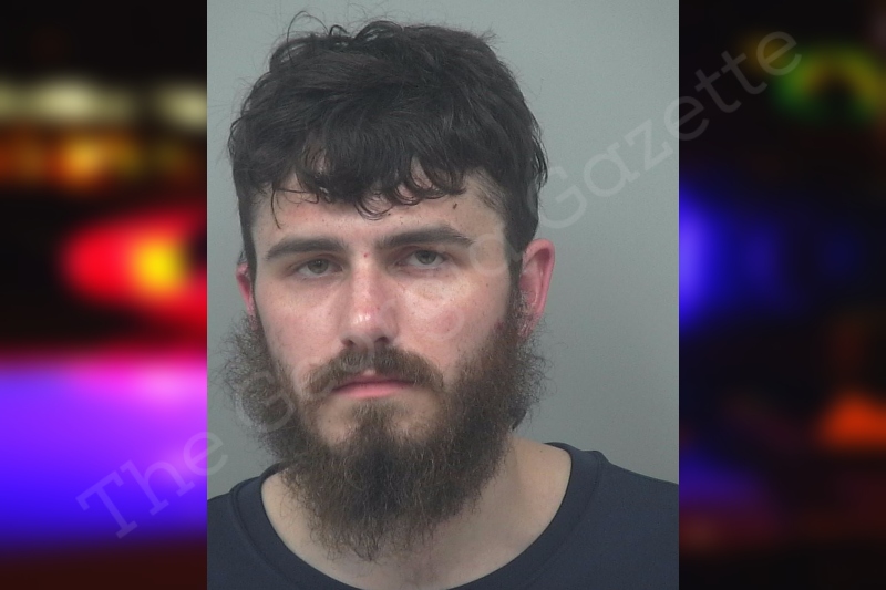 Cameron Lewis | Gwinnett County