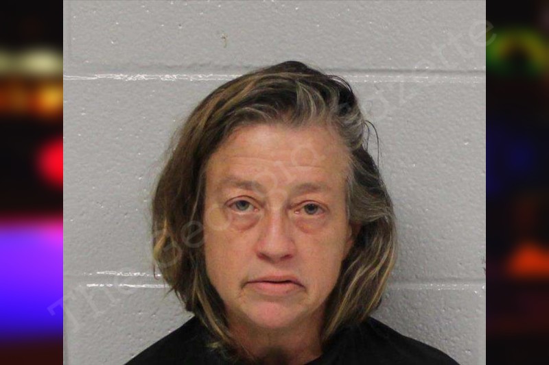 Cynthia Livesay | Carroll County