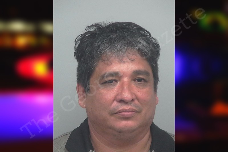 Luis Lopez Rodriguez — Gwinnett County Jail Bookings