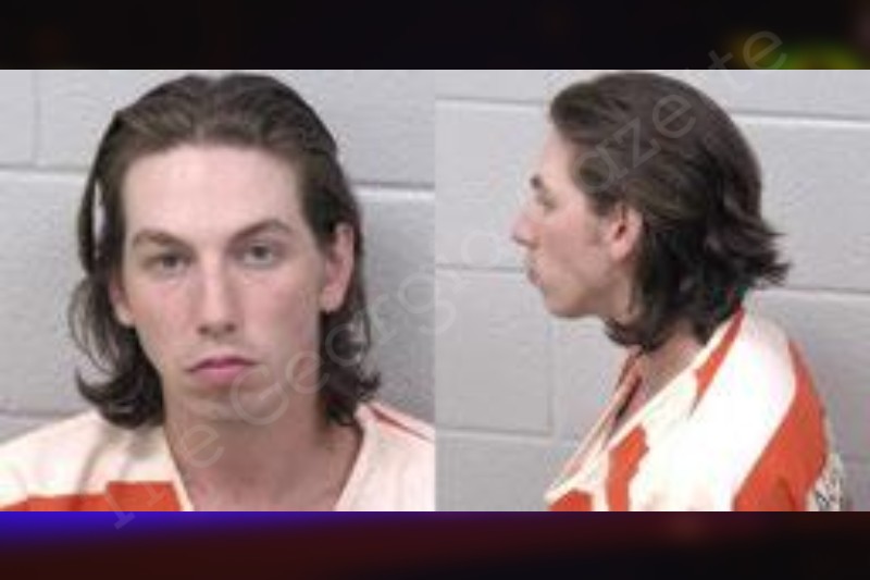 Austin Lively — Paulding County Jail Bookings