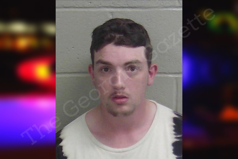 Jacob Lovejoy — Wayne County Jail Bookings