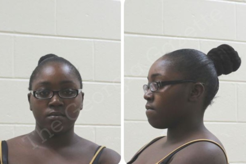 Tamara Lumpkin — Houston County Jail Bookings