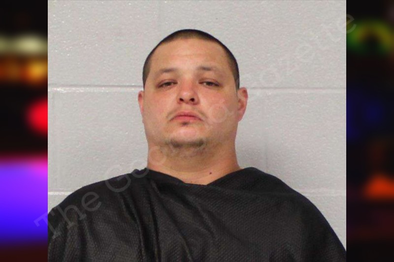 David Michalowski — Carroll County Jail Bookings