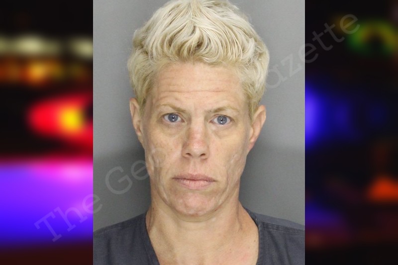 Tara Miller — Cobb County Jail Bookings