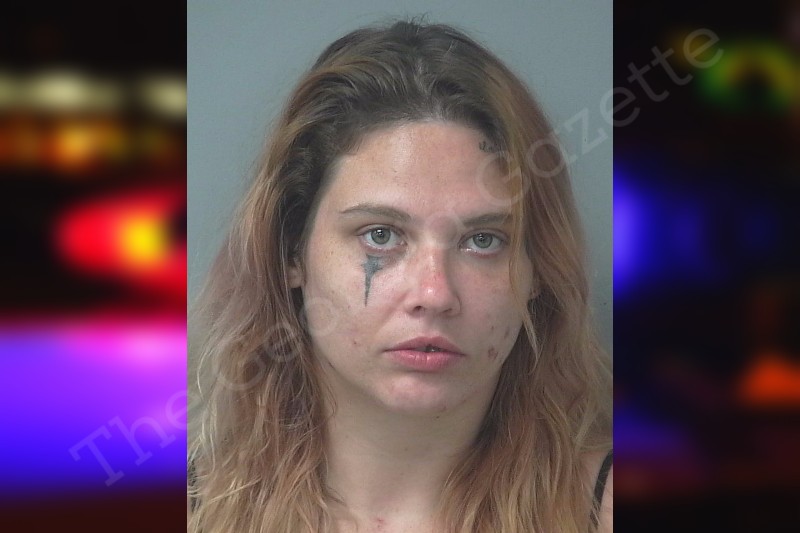 Taylor Minchey | Gwinnett County