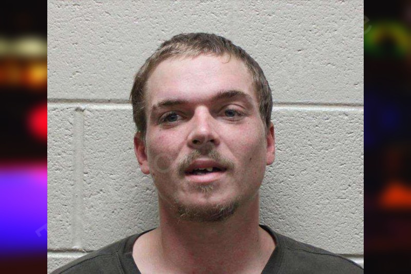Brandon Murphy — Haralson County Jail Bookings