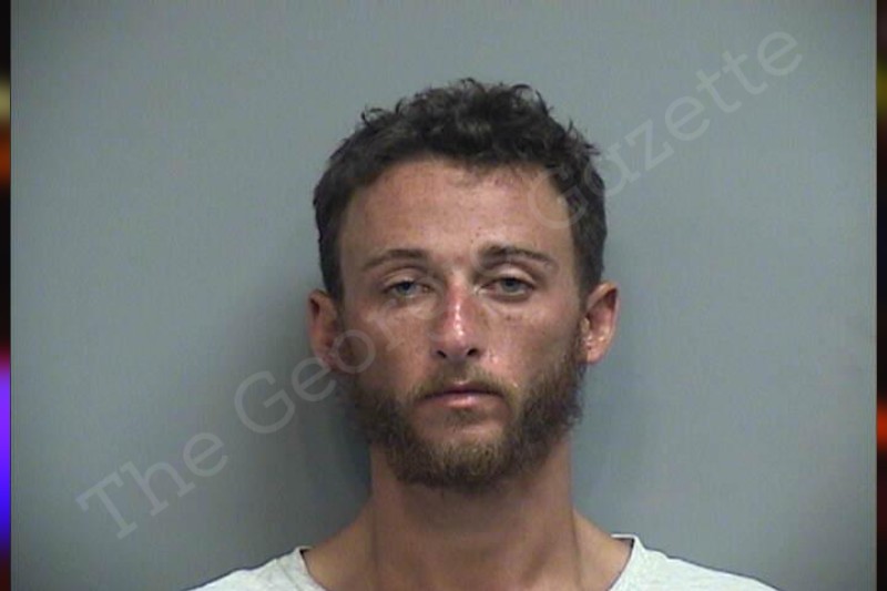 Troy Mcclellan — Effingham County Jail Bookings