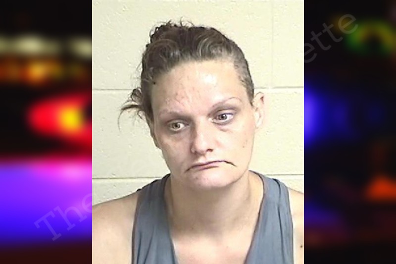 Georgia Mccoy — Walker County Jail Bookings