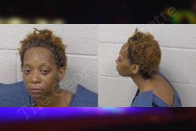 Janiqua Norfleet — Paulding County Jail Bookings