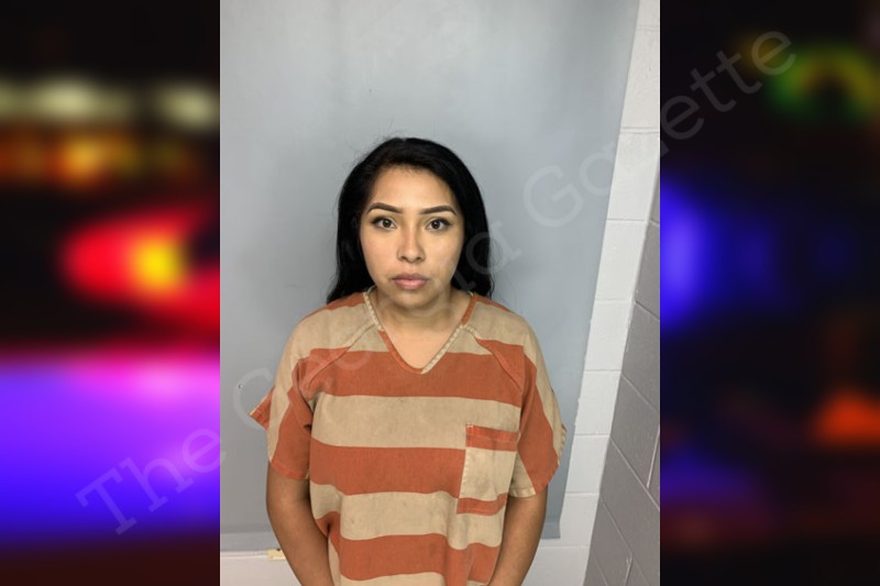 Erika Pizano — Hall County Jail Bookings