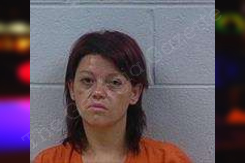 Ashley Proctor — Polk County Jail Bookings