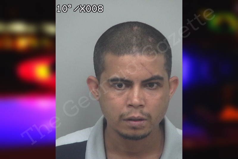 Arun Puri — Gwinnett County Jail Bookings