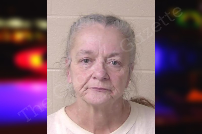 Helen Padgett — Walker County Jail Bookings