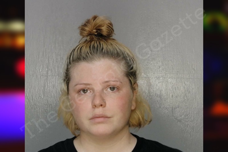 Paige Ellis — Bibb County Jail Bookings