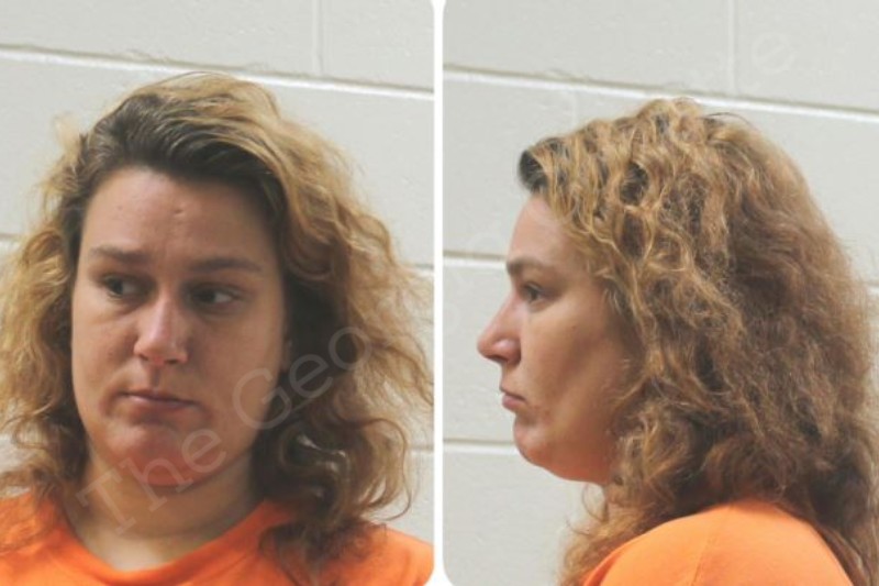 Danielle Phippen — Houston County Jail Bookings