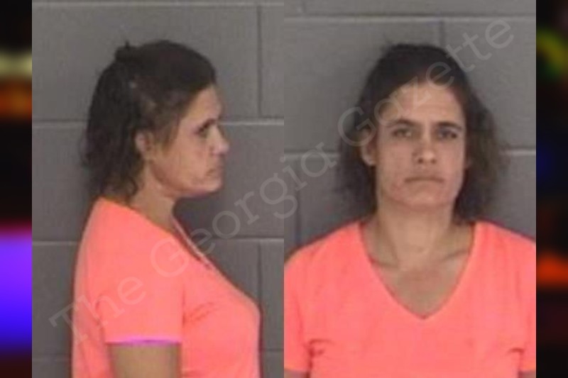 Tamara Pittman — Barrow County Jail Bookings