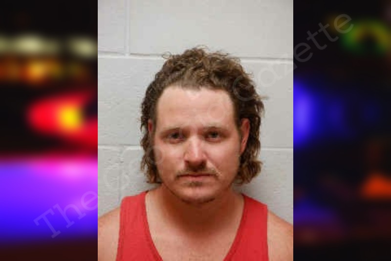 Nicholas Rhodes — Henry County Jail Bookings