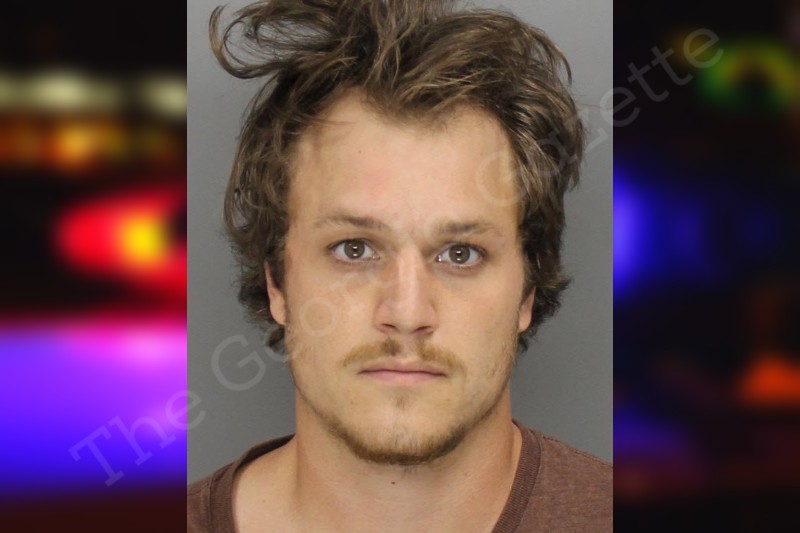 William Rice — Cobb County Jail Bookings