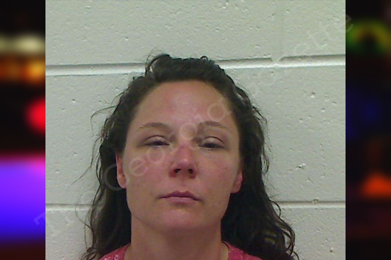 Kristin Rigdon — Bulloch County Jail Bookings