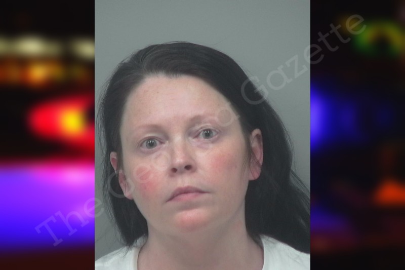 Amy Rodney — Gwinnett County Jail Bookings