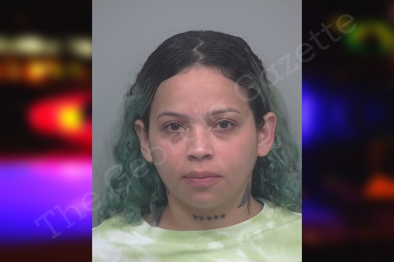 Merlyn Rodriguez Garcia — Gwinnett County Jail Bookings