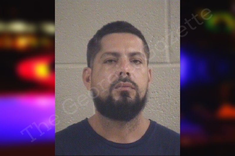 Alex Roman | Whitfield County